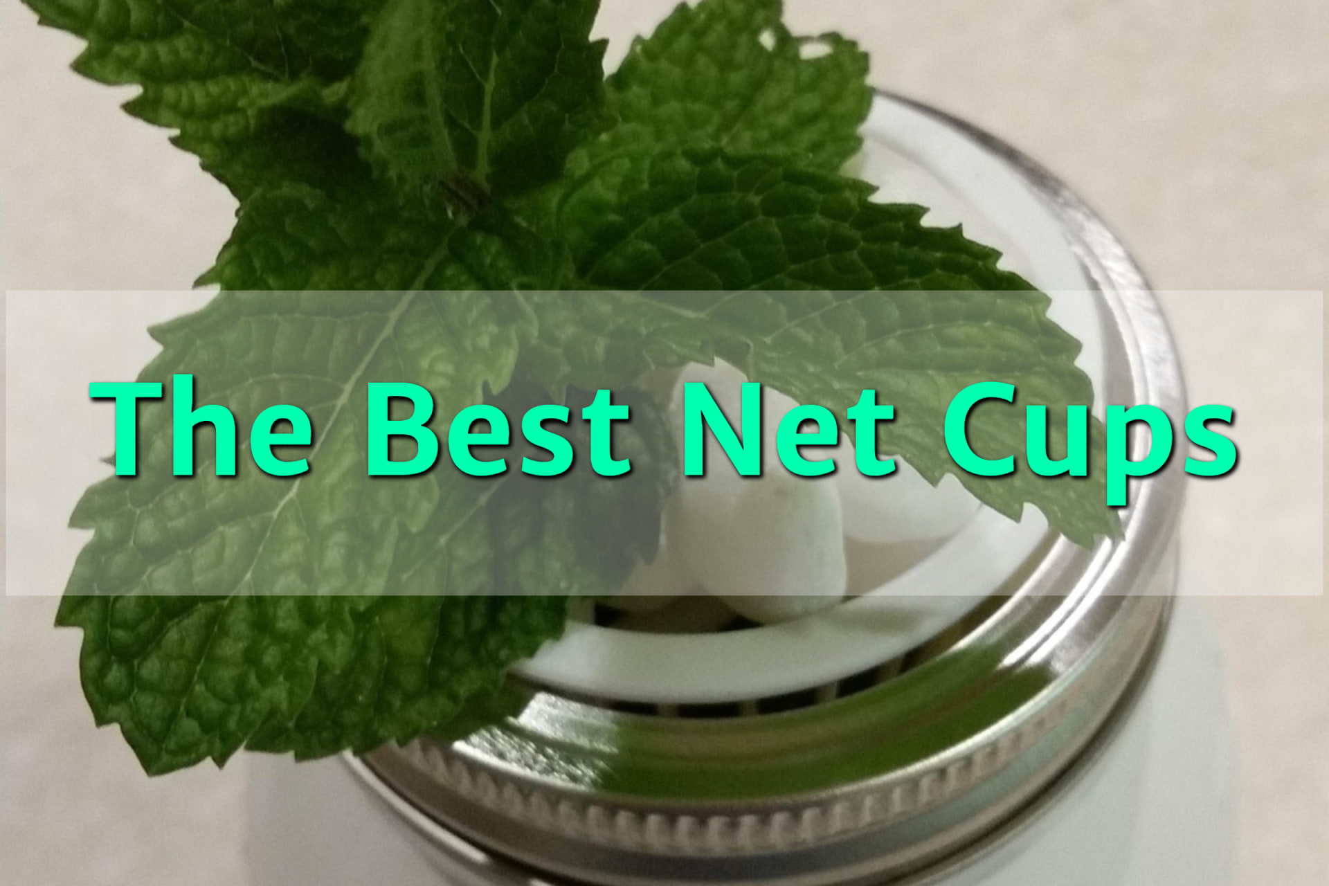 Best Net Cups for Hydroponic Gardening | Top Hydroponic Net Cups